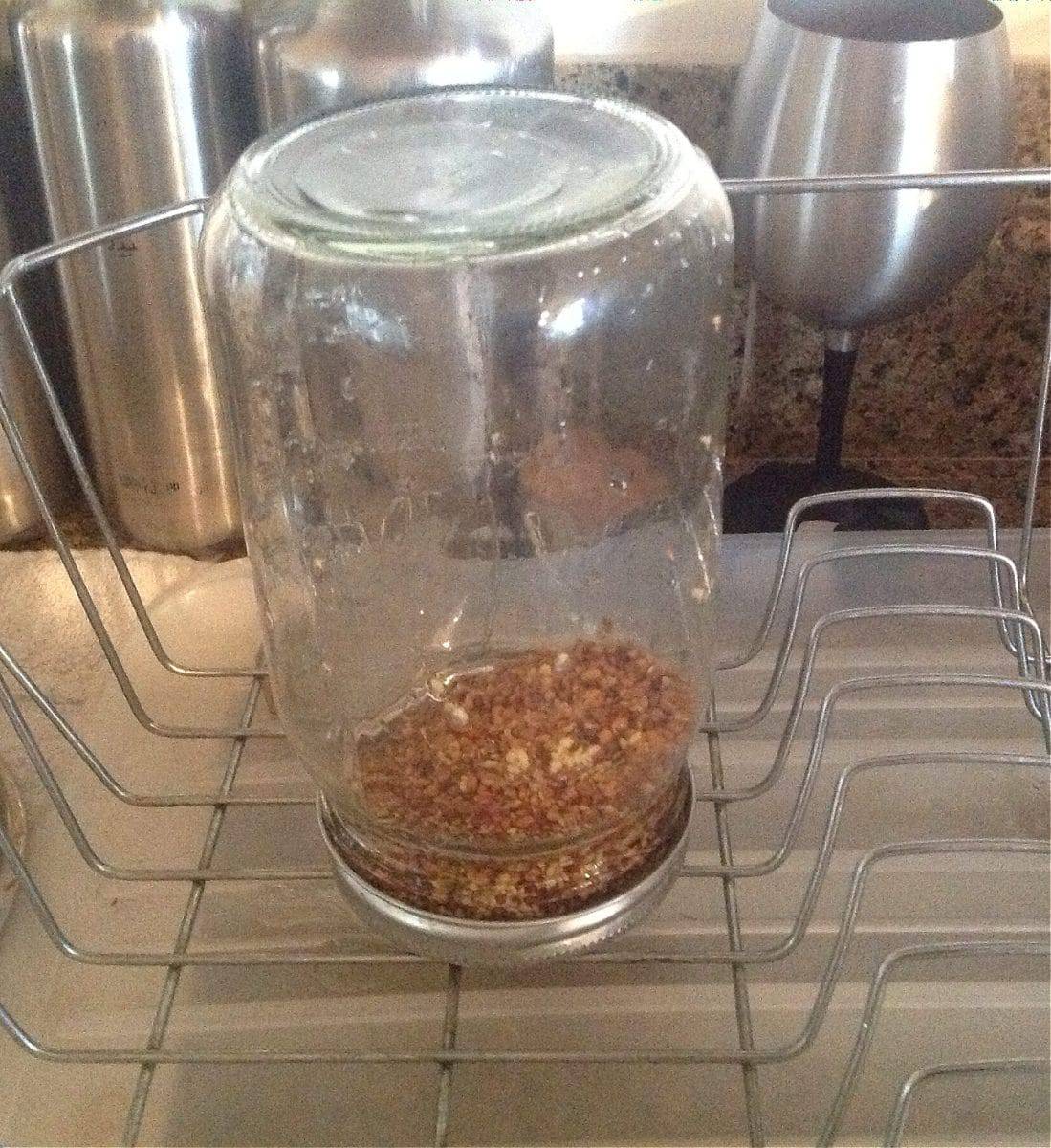 How to Grow Sprouts