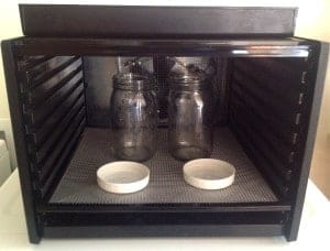 Best Fermented Food and Drink: How to Make Yogurt in a Dehydrator