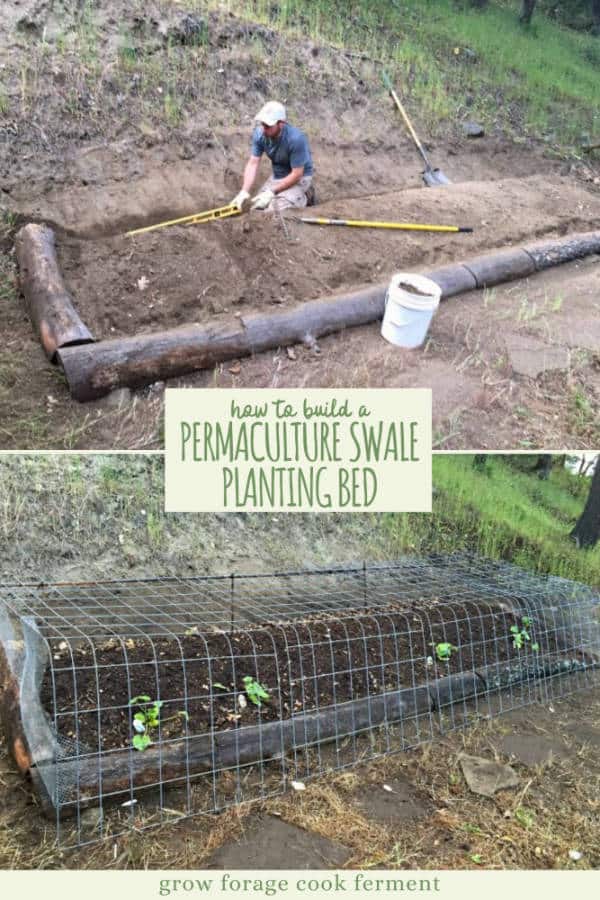 How to Build a Permaculture Swale Planting Bed