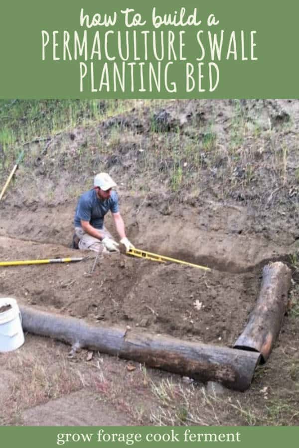 How to Build a Permaculture Swale Planting Bed