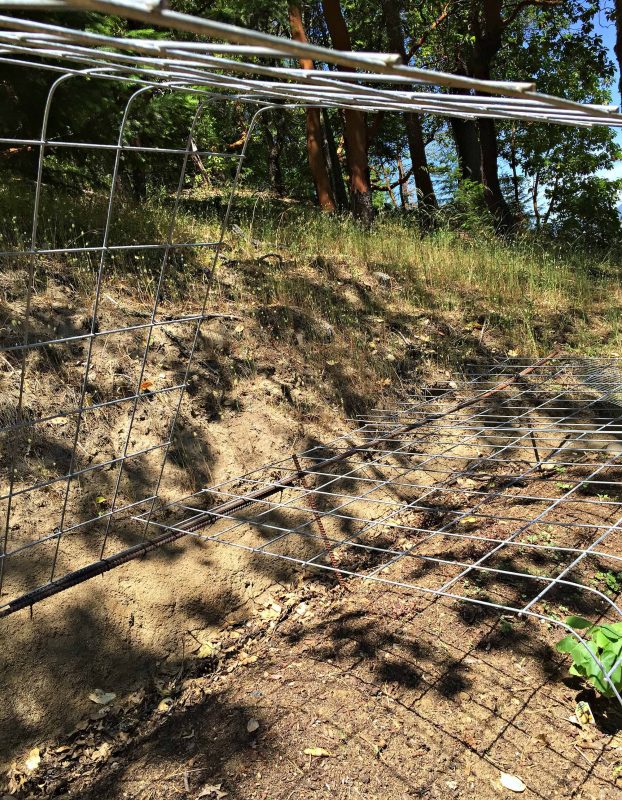 How to Build a Permaculture Swale Planting Bed