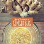 How to Make a Ginger Bug