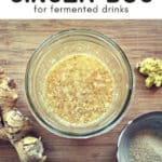 How to Make a Ginger Bug