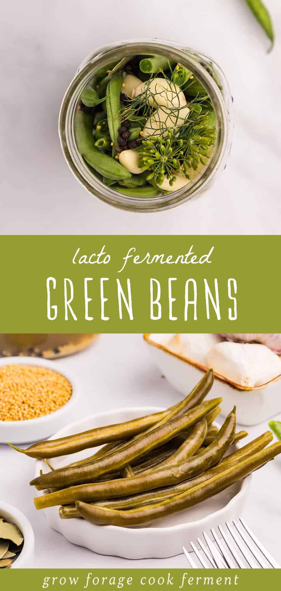 Fermented Dilly Beans