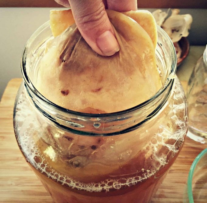 How to Brew Jun Kombucha