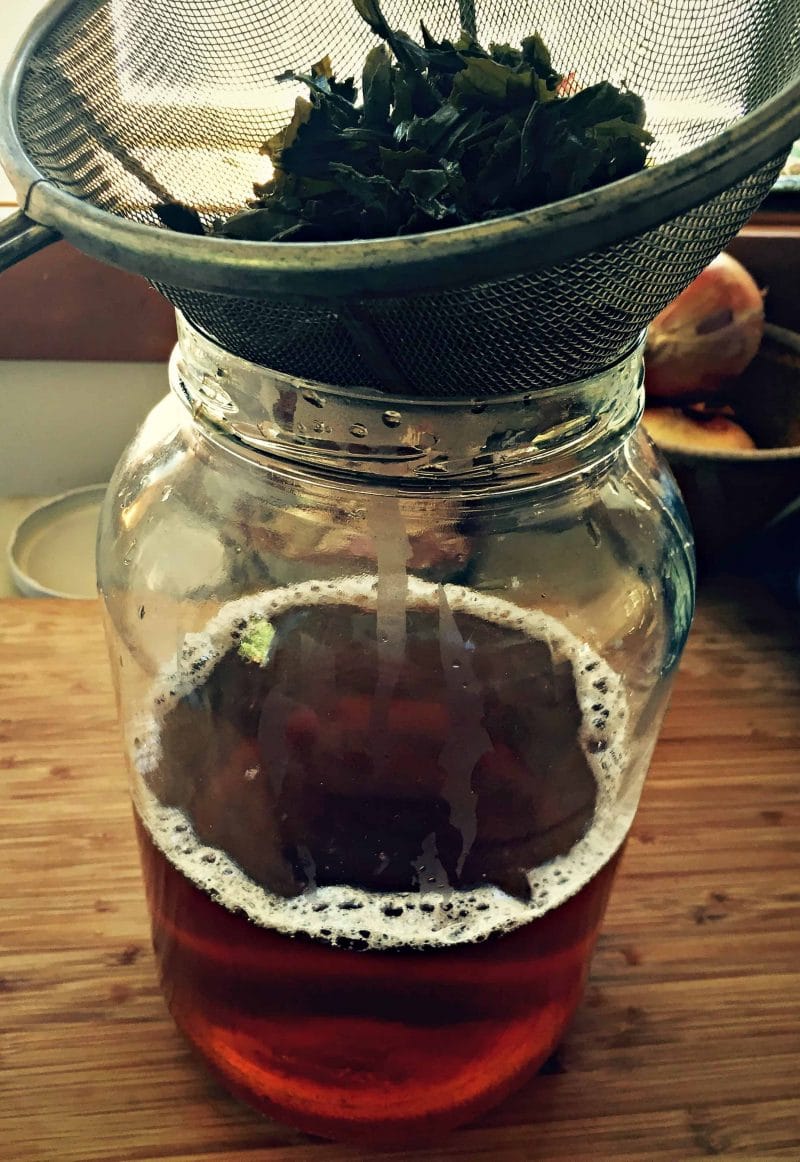 How to Brew Jun Kombucha