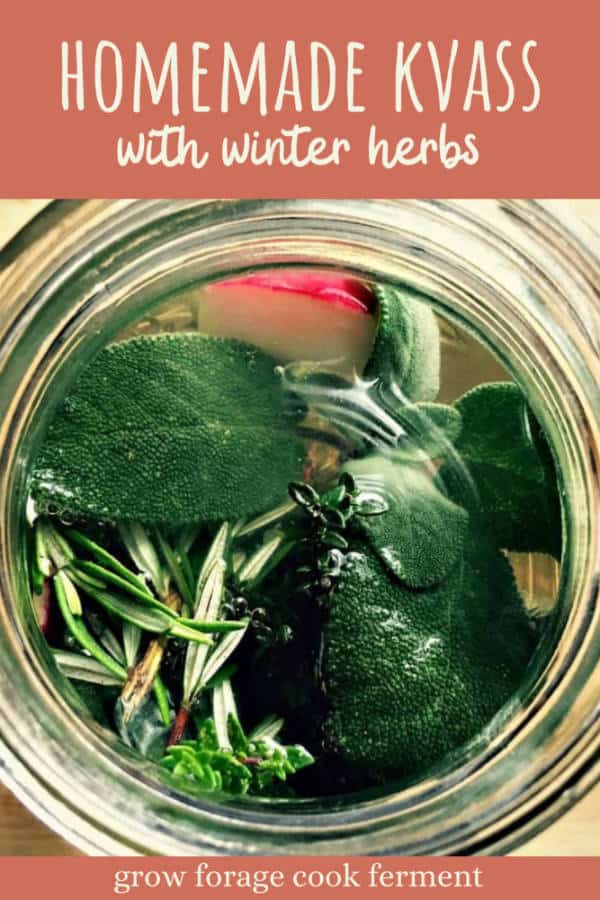 Winter Herb Kvass: Bubbly Fermented Herbal Drink