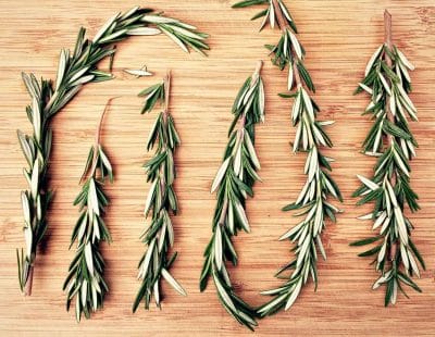 10 Reasons to Grow Rosemary for your Garden, Food and Health