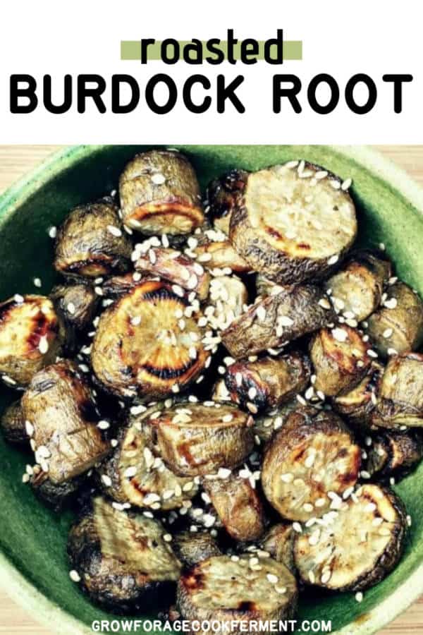 How to Cook Burdock Root
