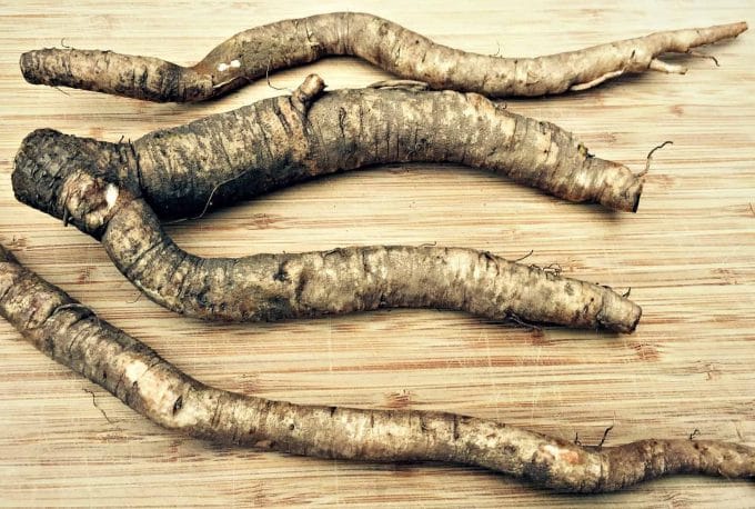 How to Cook Burdock Root