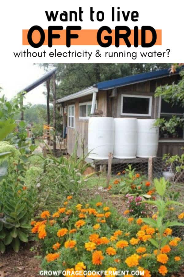 Do You Want to Live Off Grid?