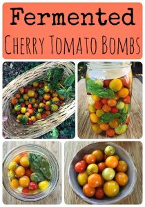 Best Fermented Food and Drink: Fermented Cherry Tomato Bombs