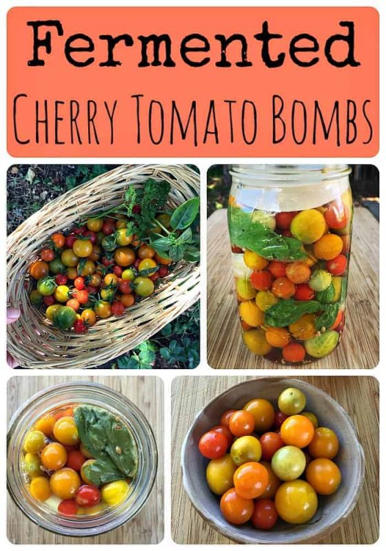 Best Fermented Food and Drink: Fermented Cherry Tomato Bombs