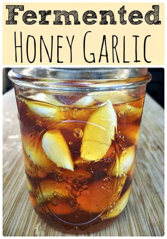 Fermented Honey Garlic