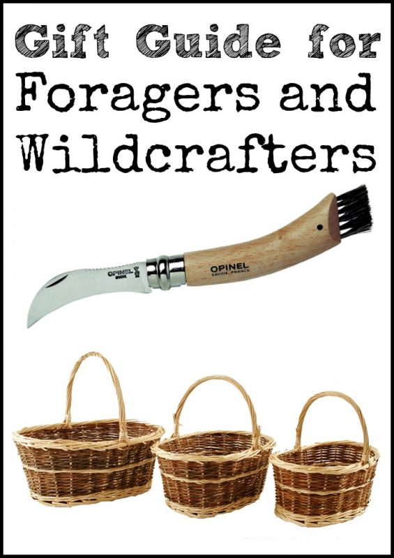 Gift Guide for Foragers and Wildcrafters