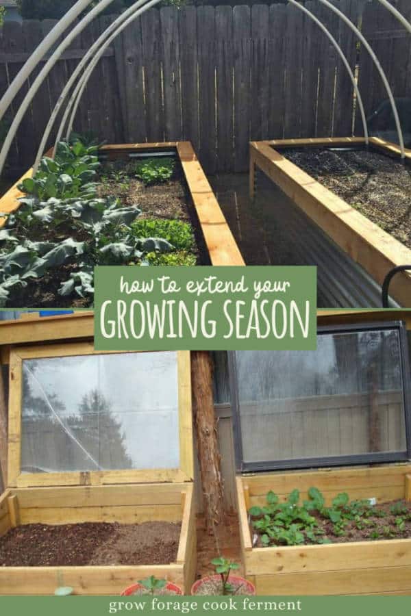 3 Ways to Extend Your Growing Season
