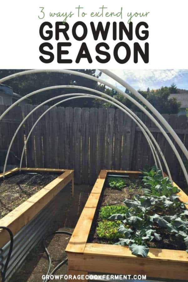 3 Ways to Extend Your Growing Season