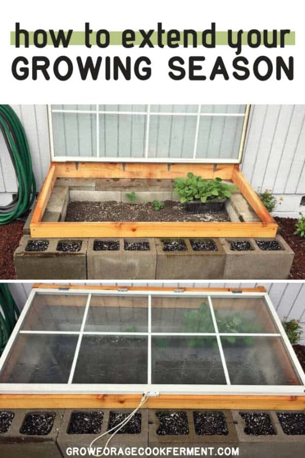 3 Ways to Extend Your Growing Season