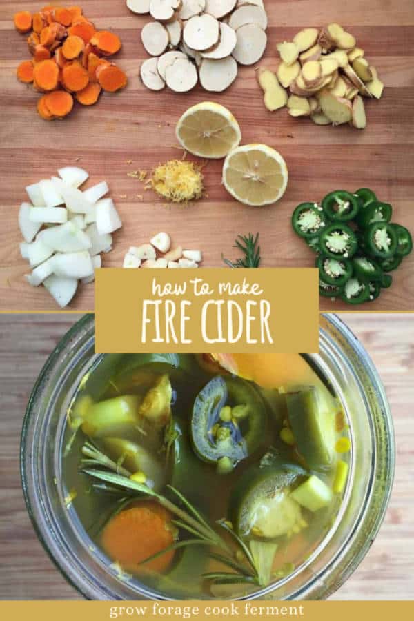 How to Make Fire Cider for Immune Support