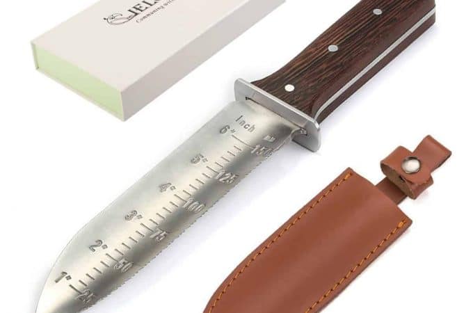 Grow | Grow Forage Cook Ferment