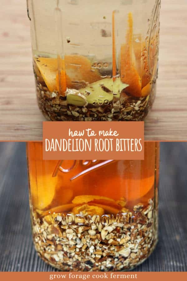 Dandelion Root Bitters: Homemade Herbal Bitters Recipe