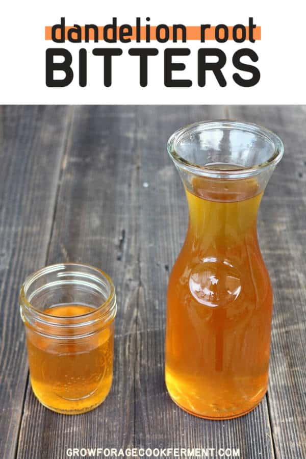 Dandelion Root Bitters: Homemade Herbal Bitters Recipe