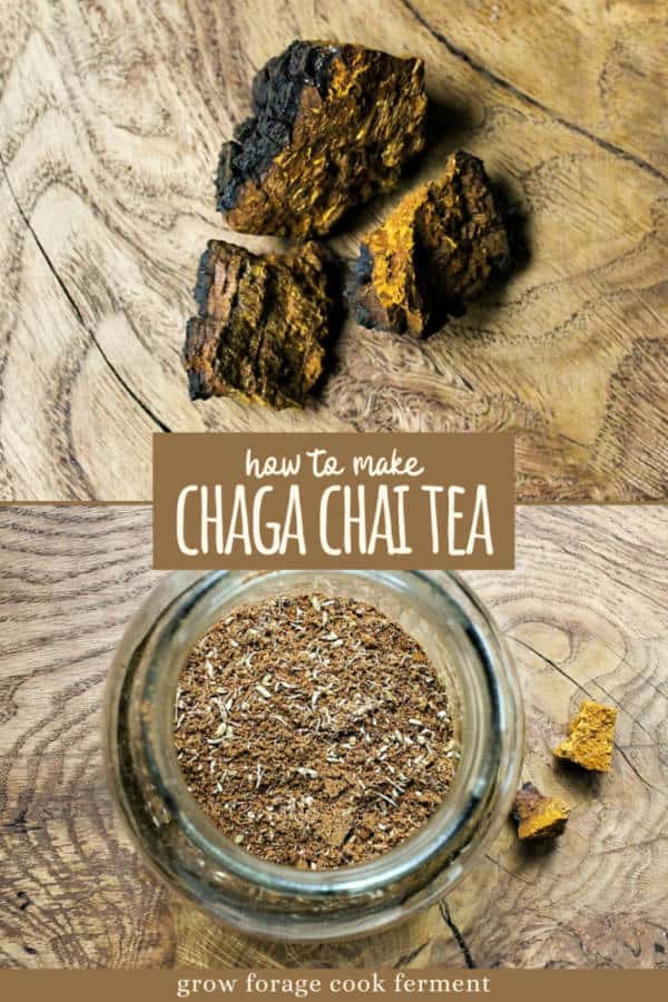 Chaga Chai With Carob and Coconut