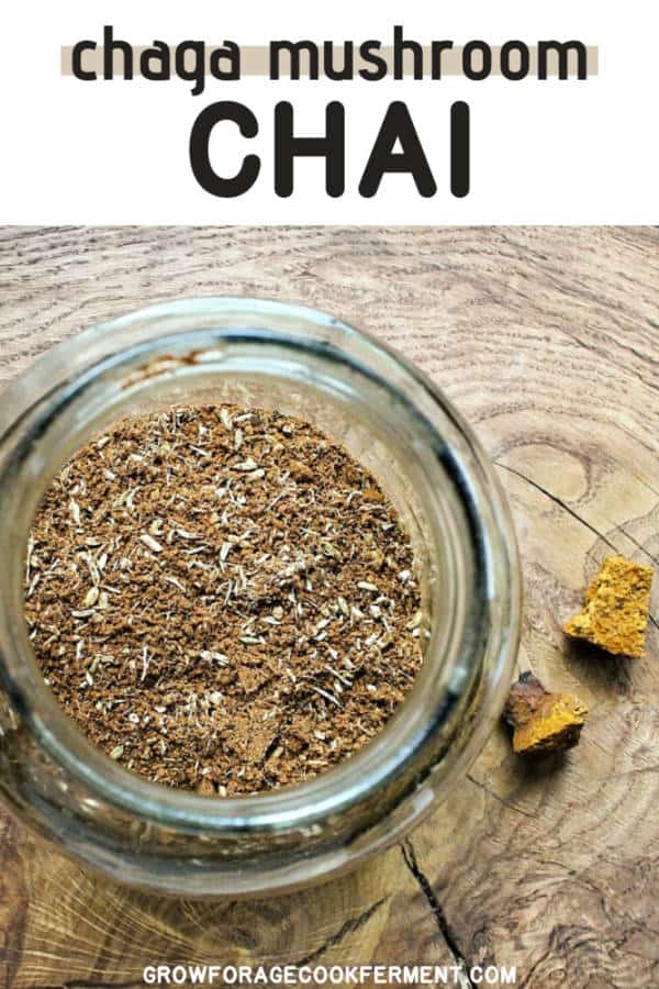 Chaga Chai With Carob and Coconut