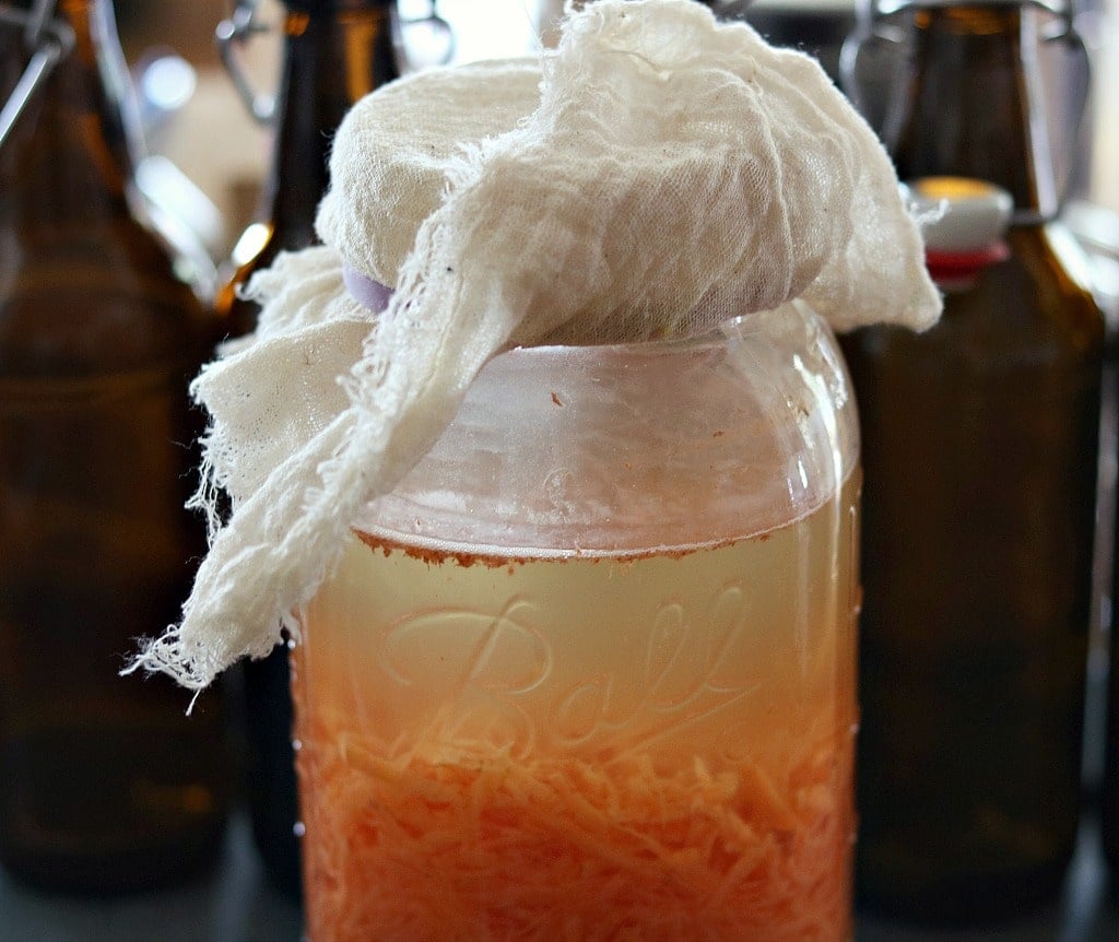 Fermented Sweet Potato Kvass