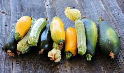 15+ Ways to Preserve Zucchini: Freeze, Can, Ferment, and Dehydrate