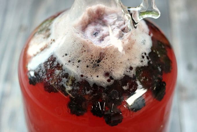 Blackberry Mead: One Gallon Recipe