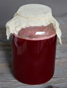 12 Fermented Soda Recipes