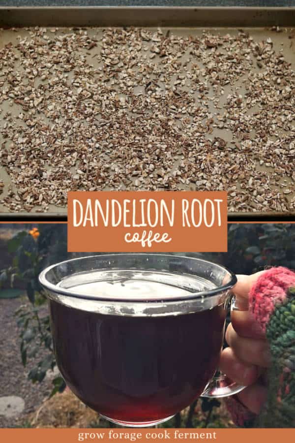 Roasted Dandelion Root Coffee with Chicory Root & Cinnamon
