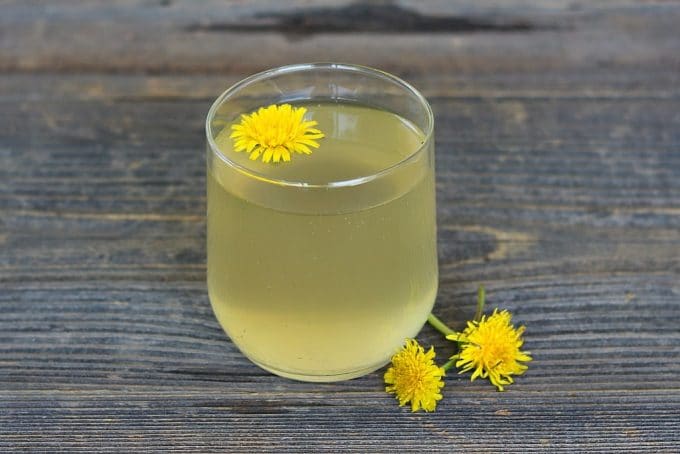 Dandelion Mead Recipe (Dandelion Wine Made With Honey)