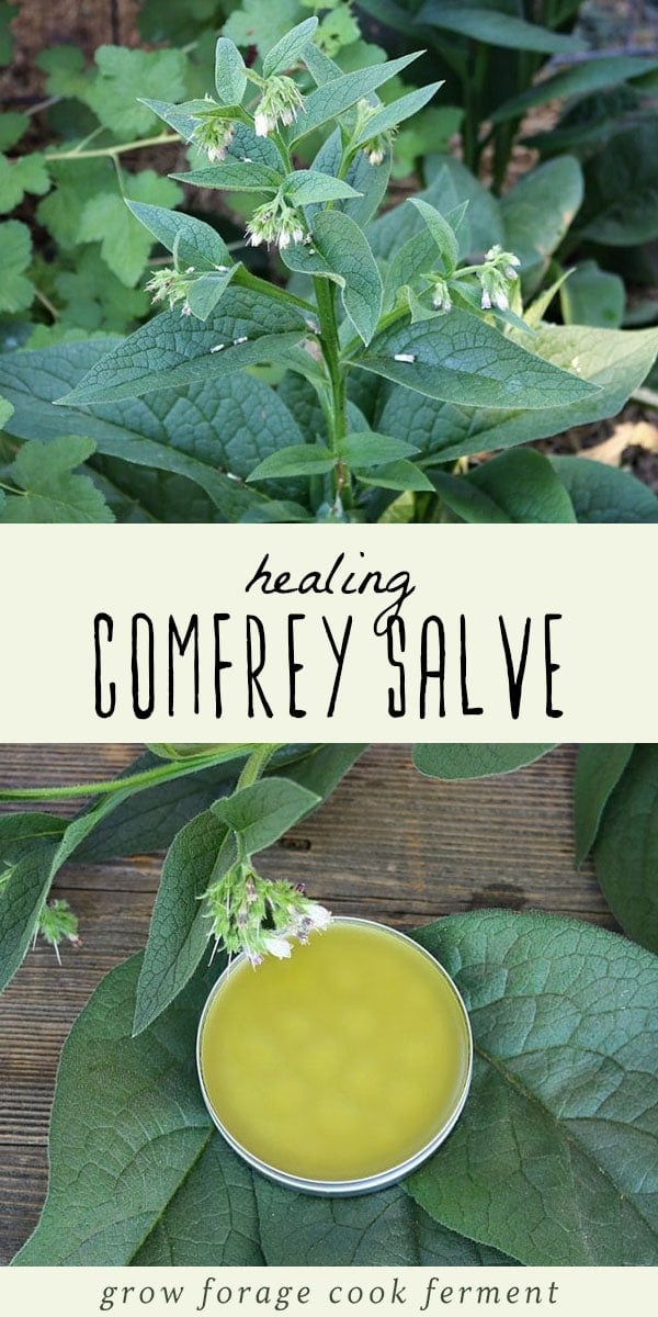 Comfrey Salve: Herbal Recipe