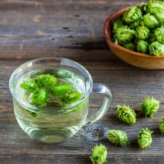 Medicinal Benefits of Hops + Hop Tea