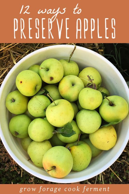 12 Ways to Preserve Apples: Canning, Freezing, Drying + More!