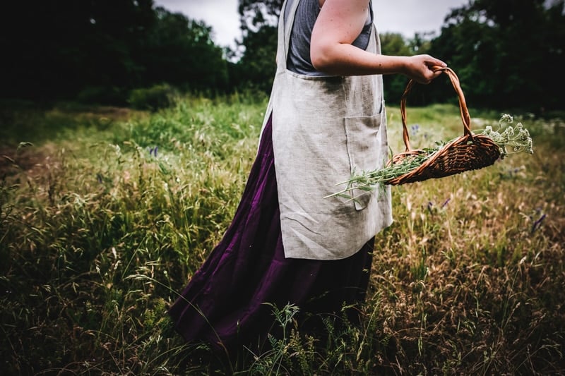 Gather + Root Foraging Course - Grow Forage Cook Ferment
