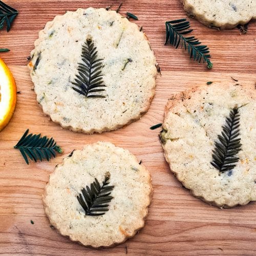 Conifer Needle Shortbread: Foraged Holiday Cookies
