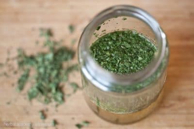 40+ Stinging Nettle Recipes (without the sting!)