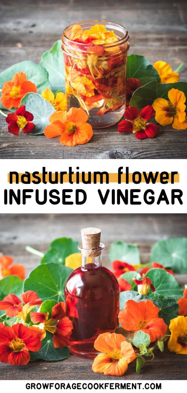 Nasturtium Flower Infused Vinegar