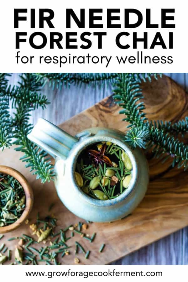 Fir Needle Forest Chai for Respiratory Wellness