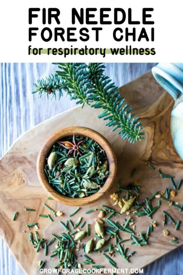 Fir Needle Forest Chai for Respiratory Wellness