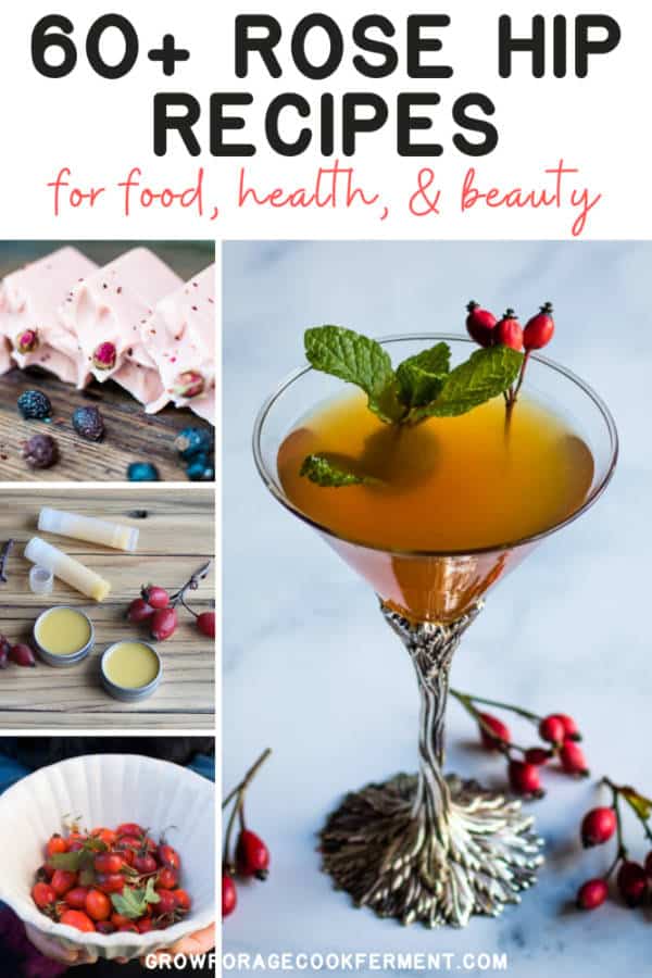 60+ Rose Hip Recipes for Food, Health, & Beauty