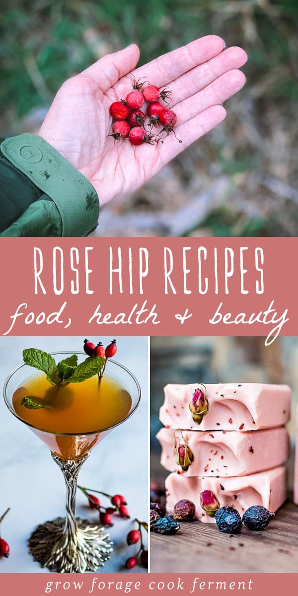 60+ Rose Hip Recipes for Food, Health, & Beauty