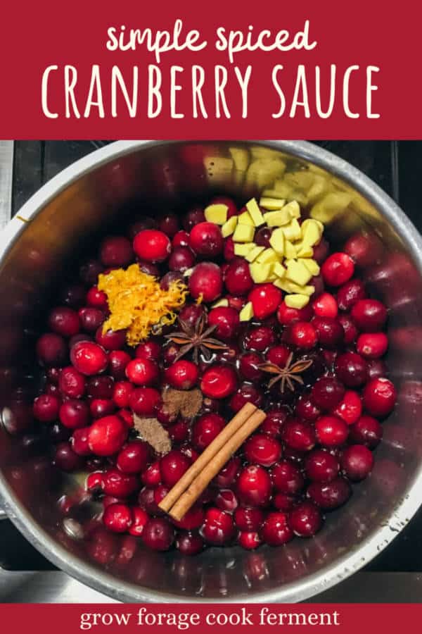 Simple Spiced Cranberry Sauce with Orange and Ginger