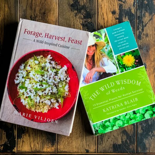 12 Best Books on Foraging and Wildcrafting