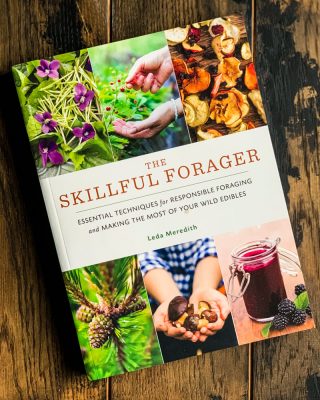 12 Best Books on Foraging and Wildcrafting