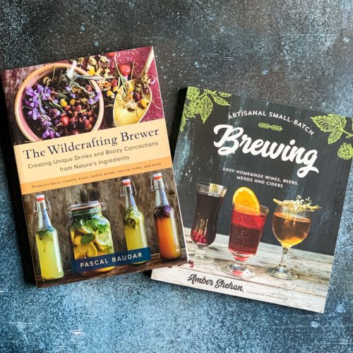 12 Best Books on Fermenting and Homebrewing