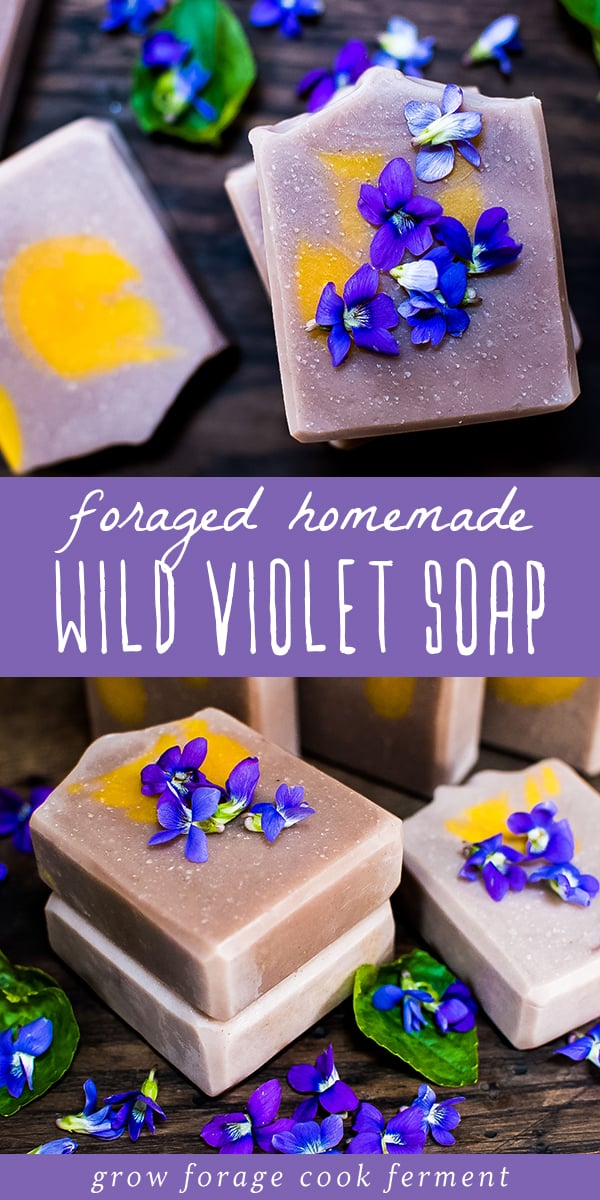 Wild Violet Soap for Spring: Homemade and Foraged